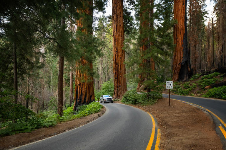 One of California’s best national parks is 2.5 hours from Yosemite—with ...