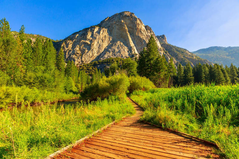 One of California’s best national parks is 2.5 hours from Yosemite—with ...