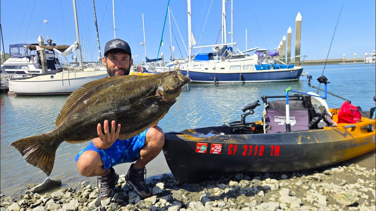 Massive halibut hooked in shallow clear water!