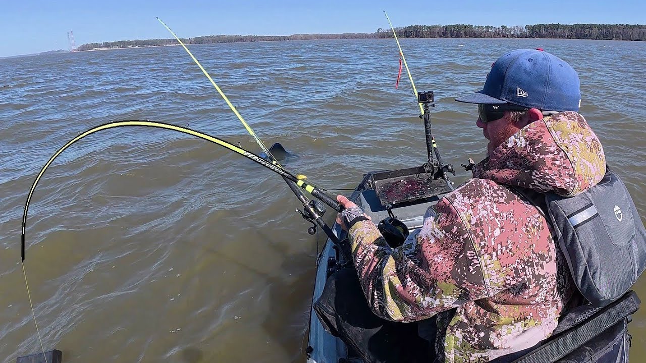 Biggest catch of the tournament: Wheeler Lake kayak catfishing
