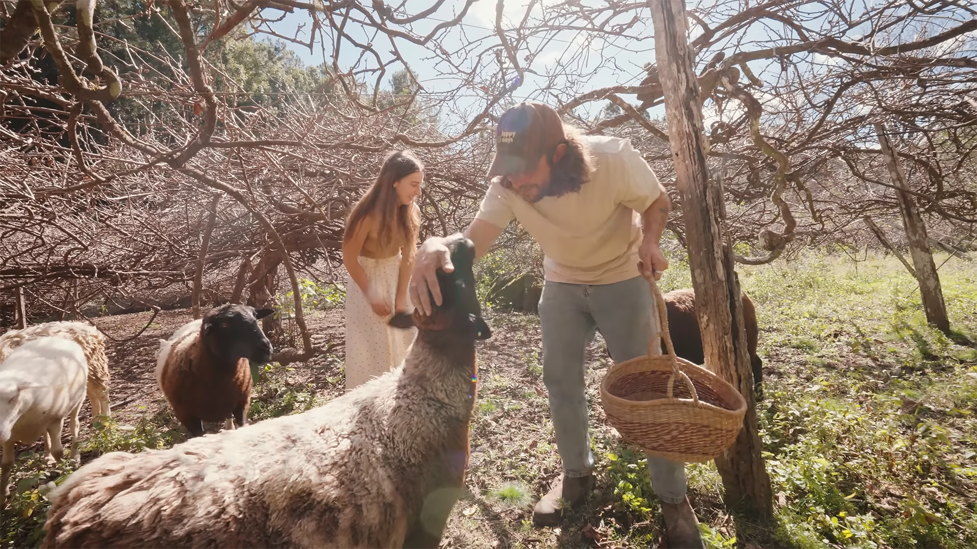 The real reason we chose off-grid life at Mother The Mountain Farm