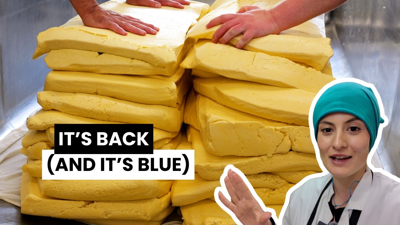 The rise and fall of cheddar cheese: From boring to radical