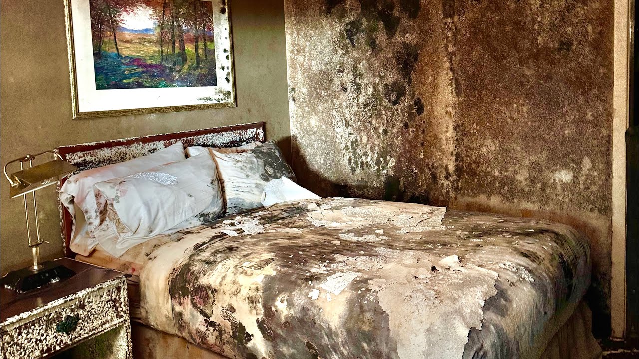Lost paradise: The abandoned hotel tale