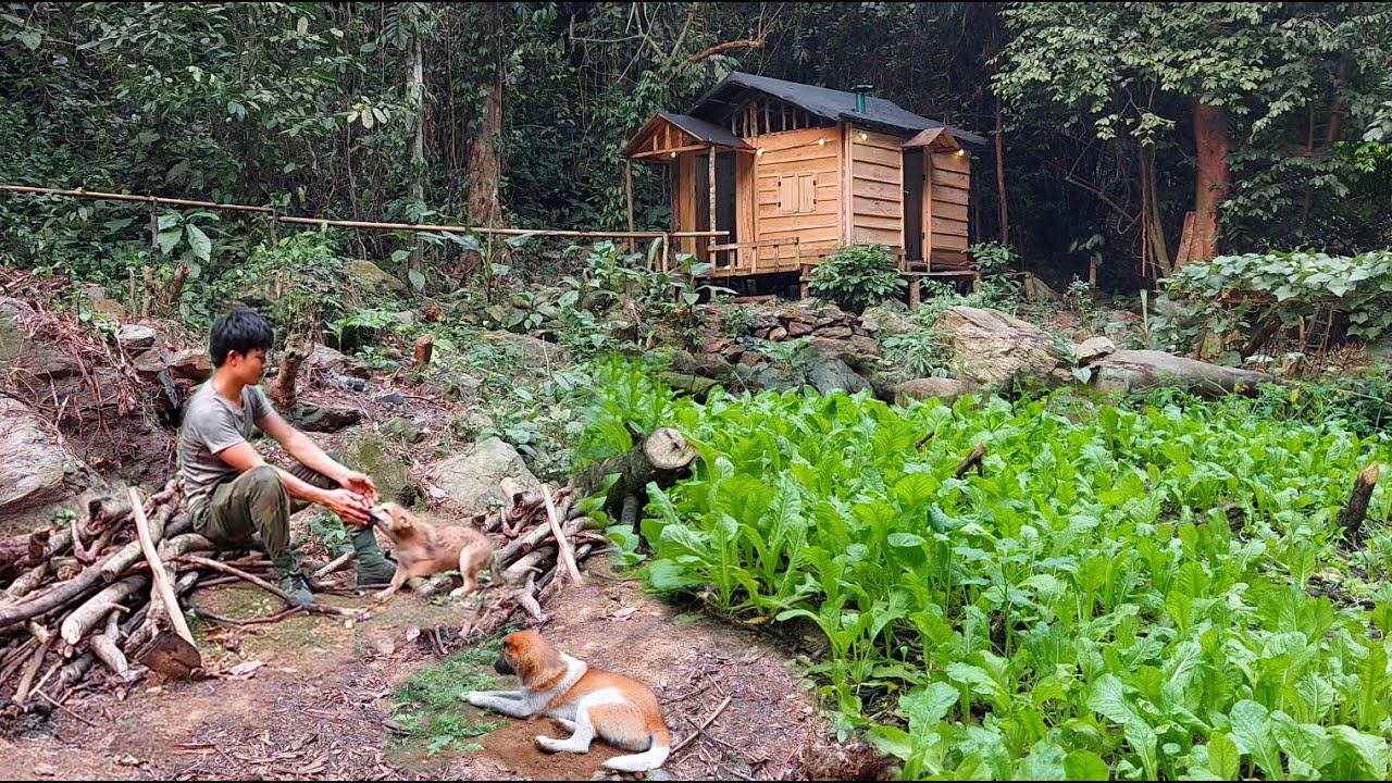 200 days off-grid: Expanding my bushcraft garden in Vietnam