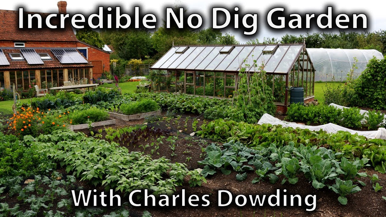 Inside Charles Dowding's 1/4 acre oasis