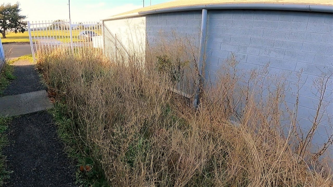 I transformed an overgrown corner in just 2 hours!🌱