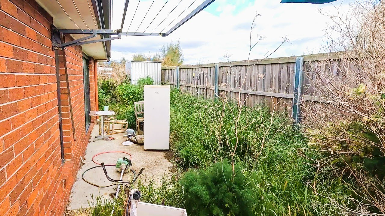 Transforming a backyard into a lush garden