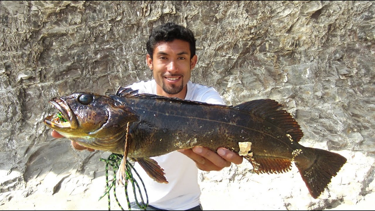 How to catch lingcod and BIG fish with swimbaits