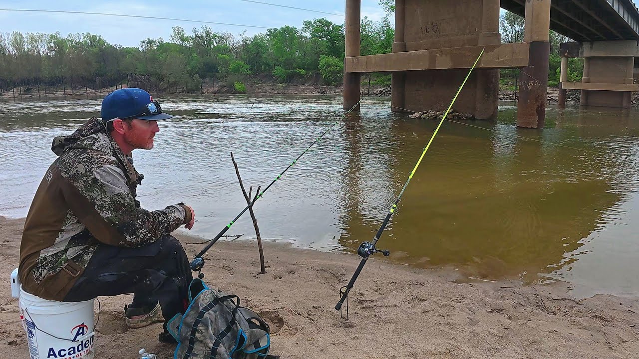 Giant fish living under a bridge