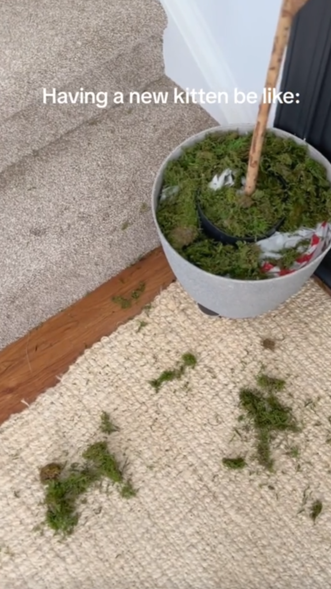 What happened to my house while I was away