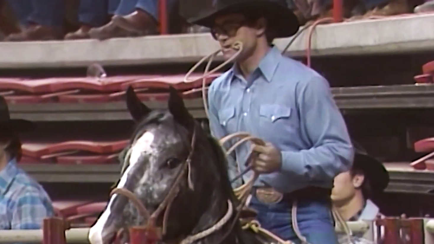 Watch what happens when a calf kicks free - and $100K is gone