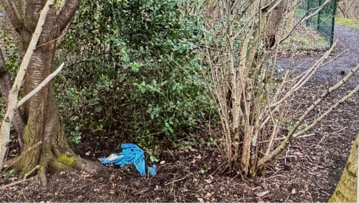 Edinburgh crime: Dead dog found in Edinburgh park as appeal launched