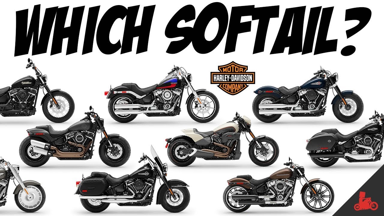 I tested every Harley-Davidson Softail model! 🚴‍♂️