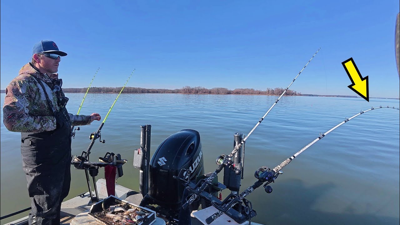 Hungry fish strike in shallow water - Bama Blues 2025