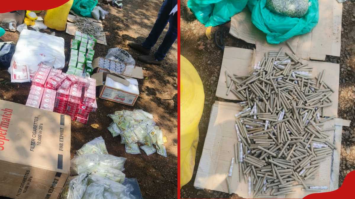 Molo drug bust: NACADA seizes KSh 1 million bhang stash after high ...