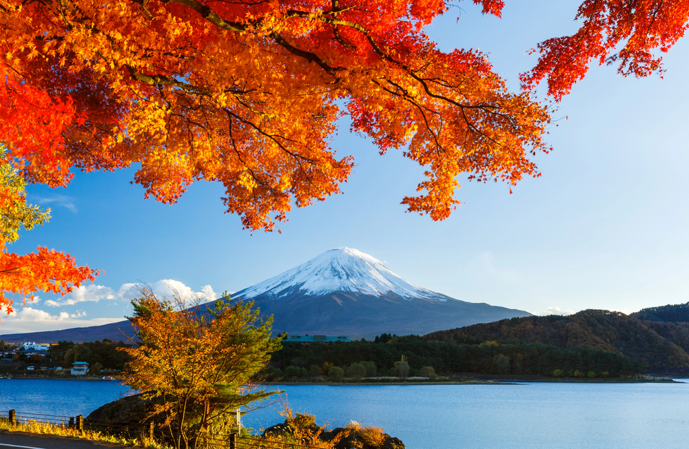 Best family-friendly Japanese locations