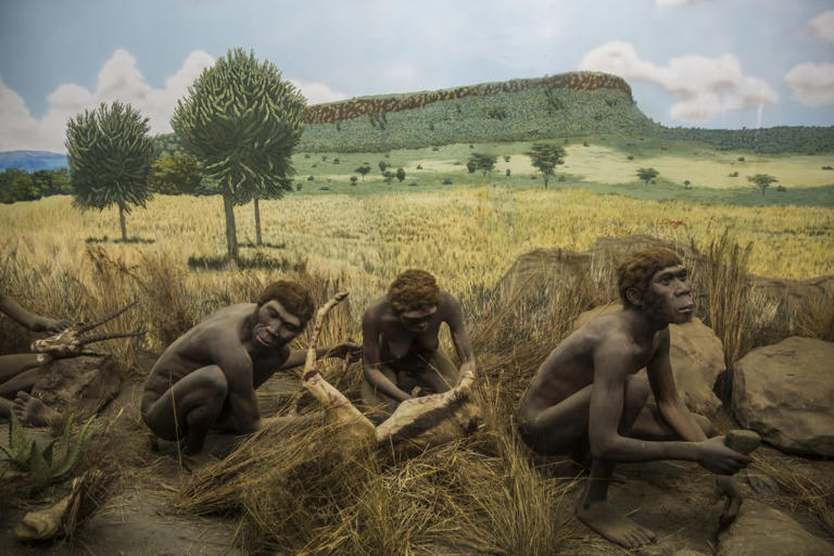 DNA has spoken: Scientists finally reveal the date humans first learned ...