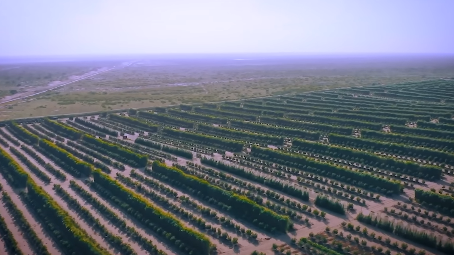 They turned 370 miles of desert into farms - but forgot about the water