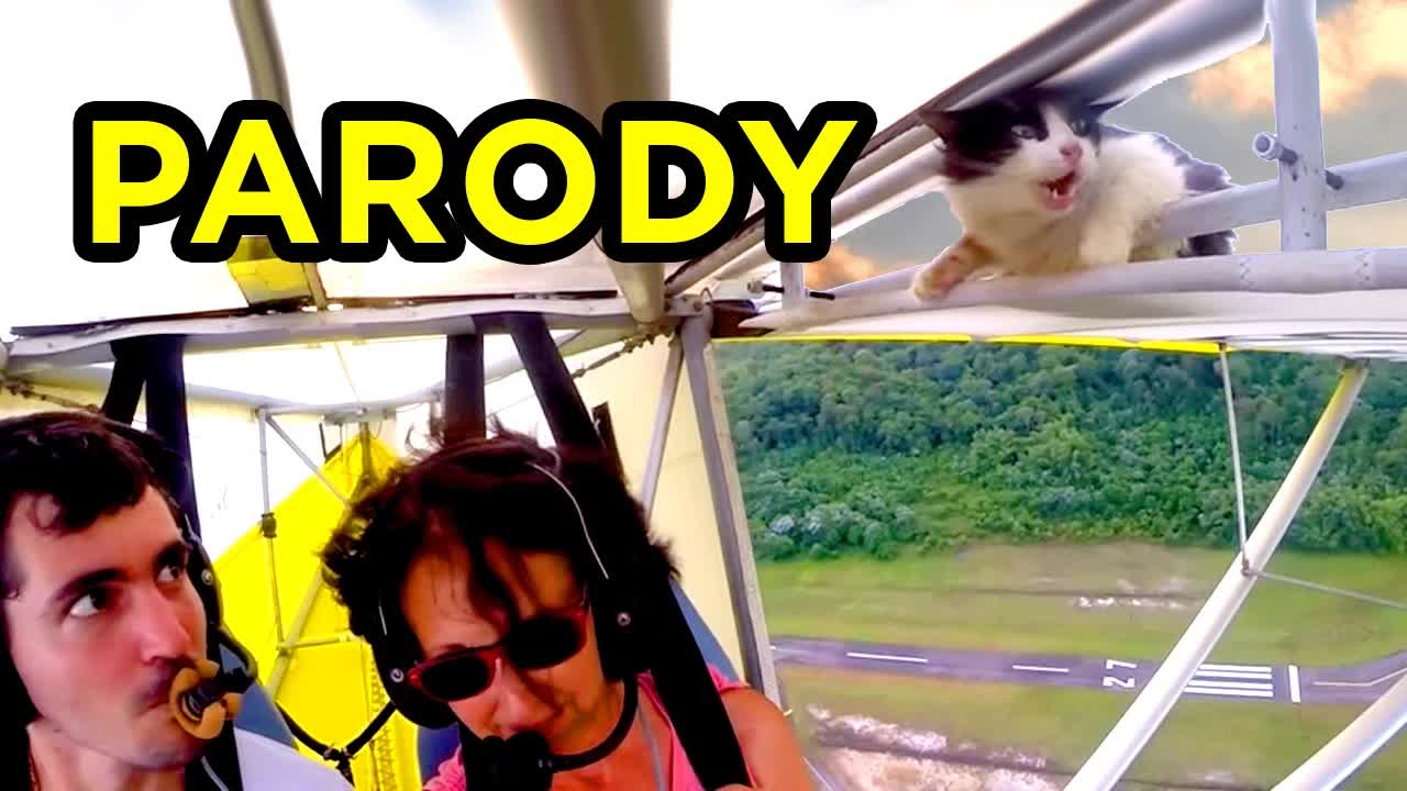 Remove cat before flight - Mission Impossible cat on plane parody