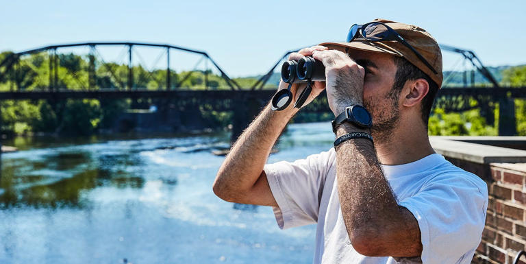 How to start birdwatching (even if you don’t have a backyard)
