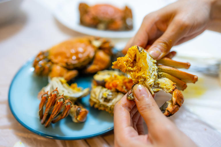 ¡Descubre el poder nutritivo del cangrejo: energía, salud y sabor en ...