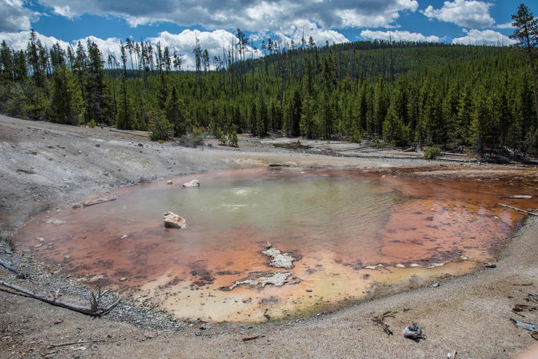 Brain-eating amoeba detected in water at iconic US national parks ...