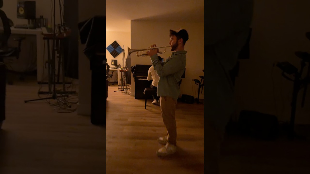 This is what 2009 sounded like #shakira #hipsdontlie #trumpet #piano