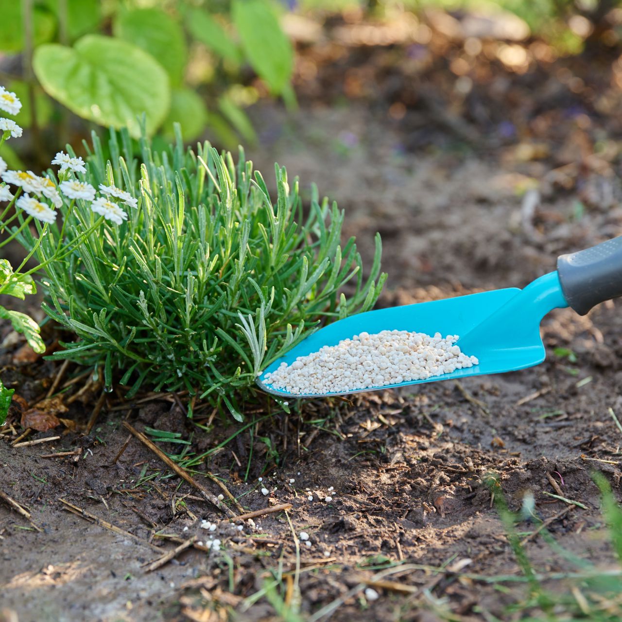 What is fertilizer burn? Signs you're overfeeding your plants & what to ...