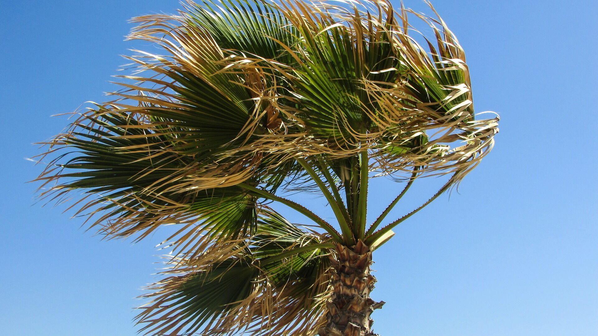Santa Ana winds sweep into Los Angeles with warm, gusty weekend ahead