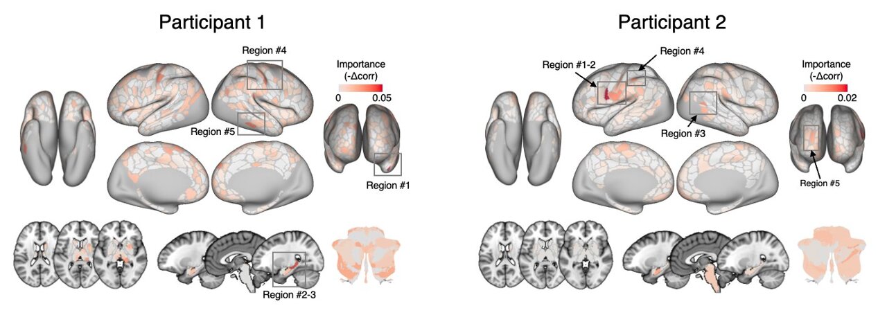 Personalized fMRI models decode moment-to-moment chronic pain in ...