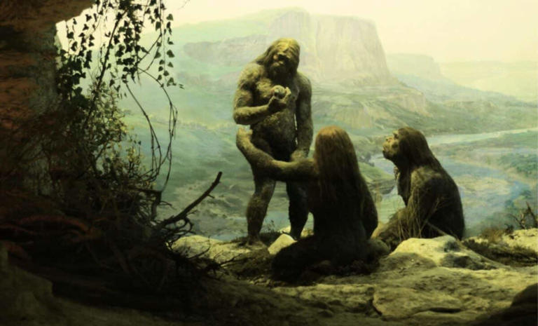 DNA has spoken: Scientists finally reveal the date humans first learned ...