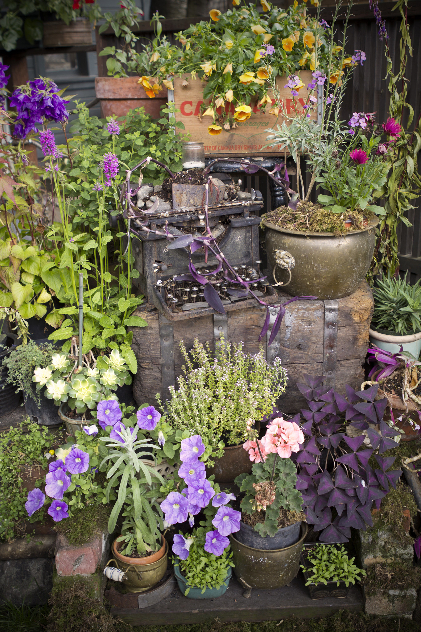 20 DIY herb garden ideas using repurposed vintage containers