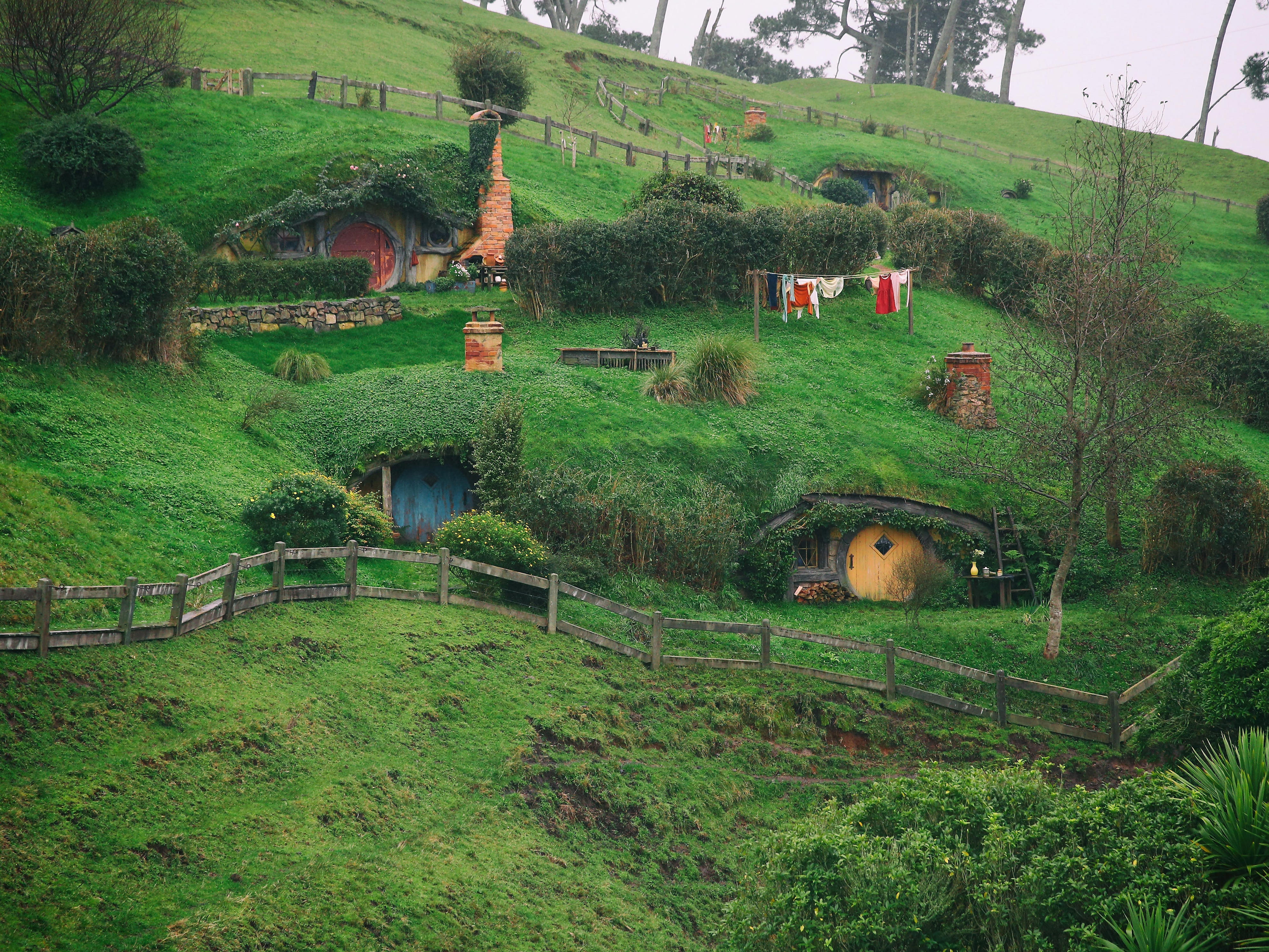 Palantir wants its old employees back: 'The shire is calling'