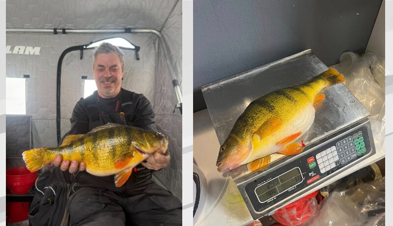 Angler may have broken North Dakota’s perch record on Devils Lake