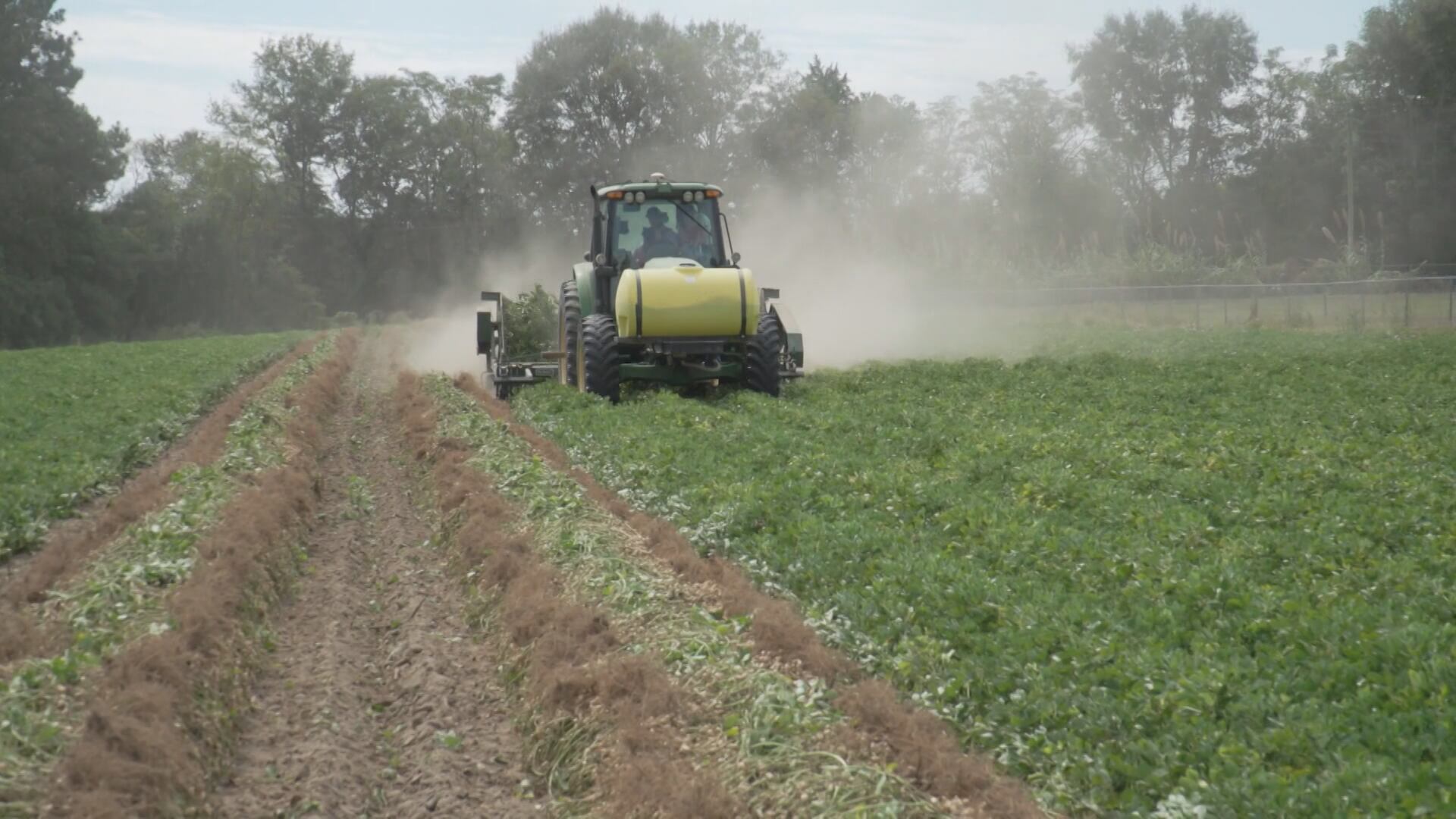 Federal relief programs offer Alabama farmers financial support after ...