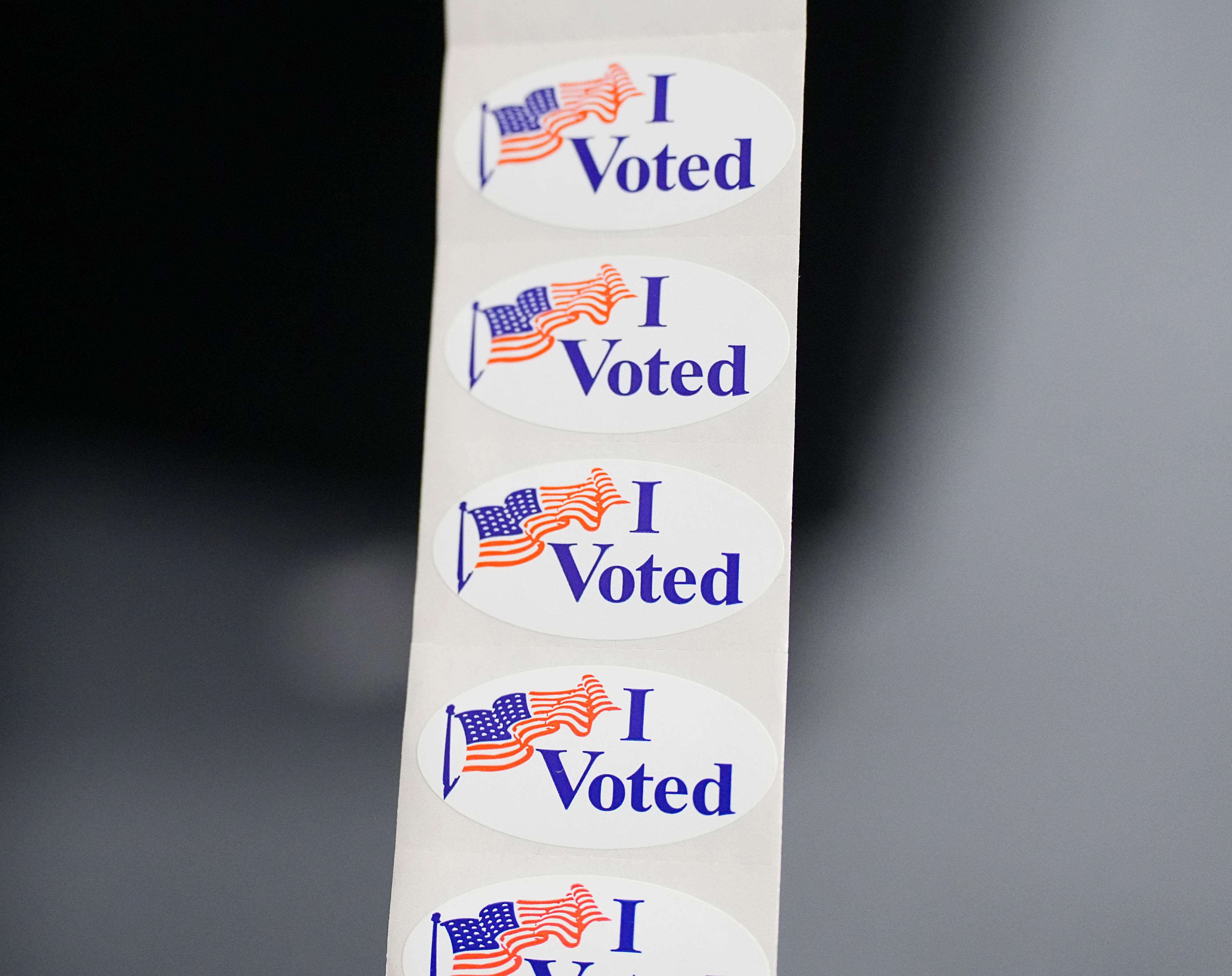 Judy Mollica headed to victory in Delray Beach City Commission race