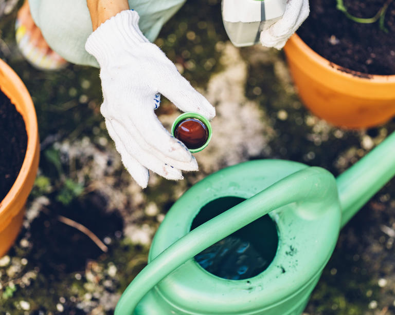 What is fertilizer burn? Signs you're overfeeding your plants & what to ...