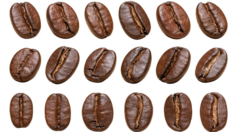 Cheap coffee vs expensive beans: How to tell the difference