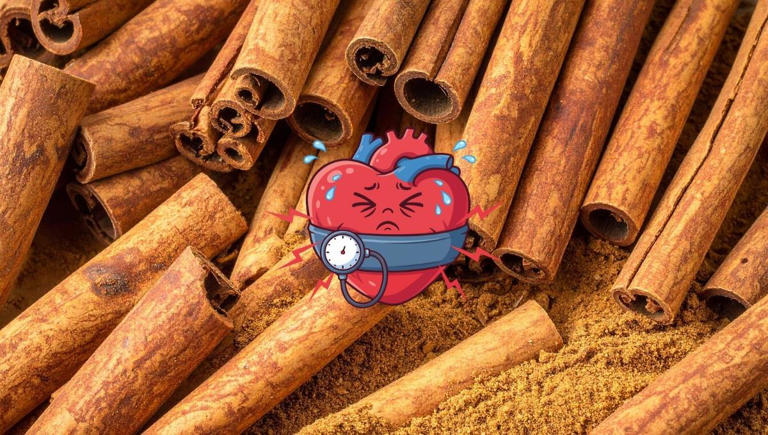 El impacto que tiene la canela en la salud arterial y no conocías