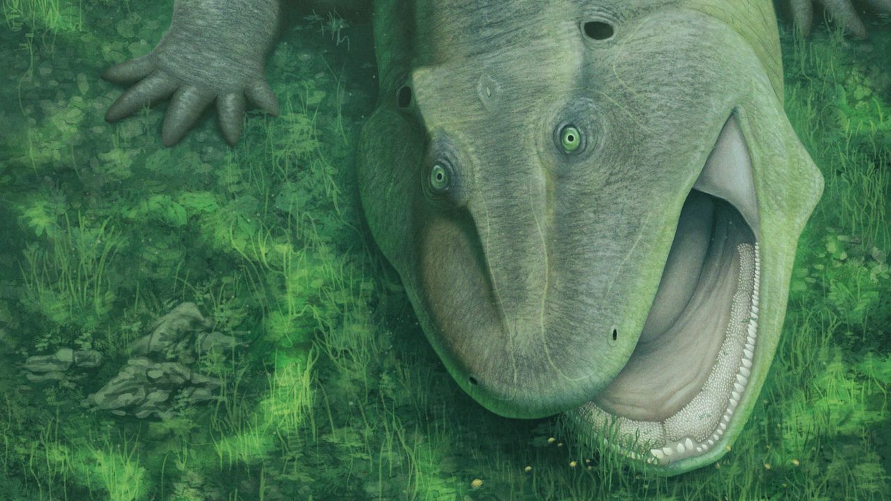 Prehistoric water-dwelling weirdo with sideways teeth and a twisted jaw ...