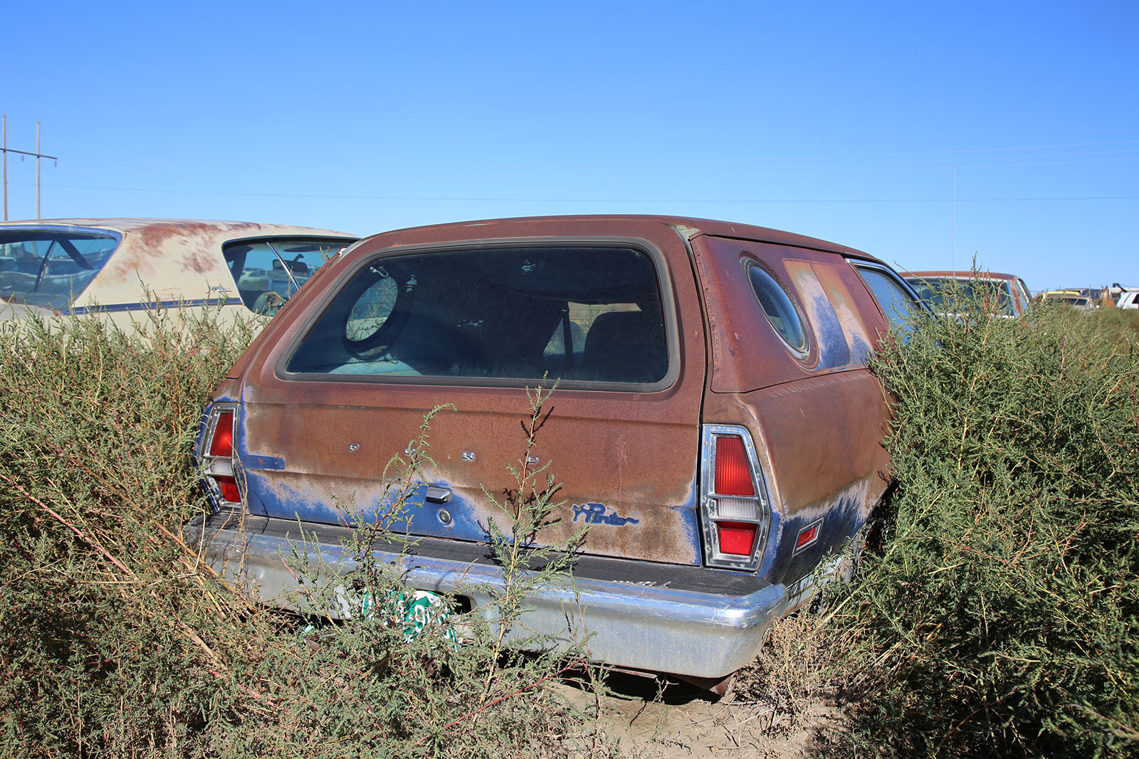 All-new: Junkyard gems of Woller Auto Parts, Lamar, Colorado