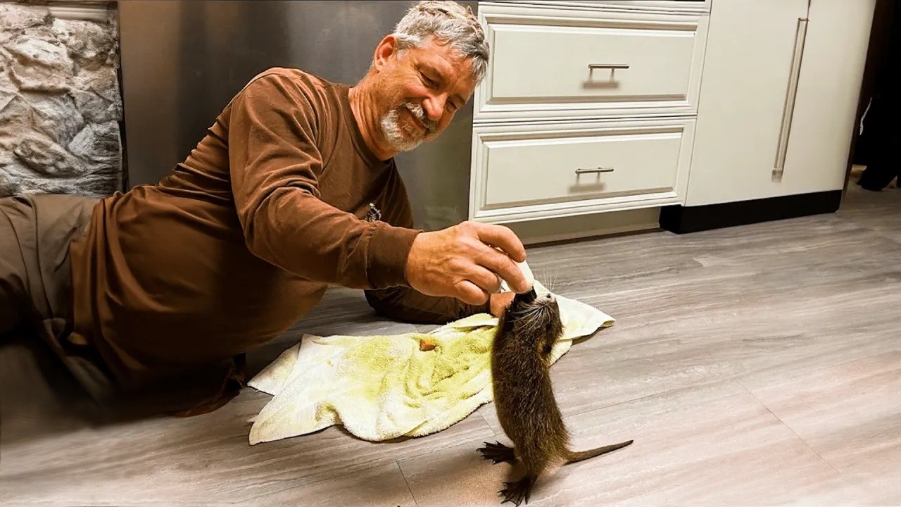 He grabbed the wrong baby nutria - and found his heart instead