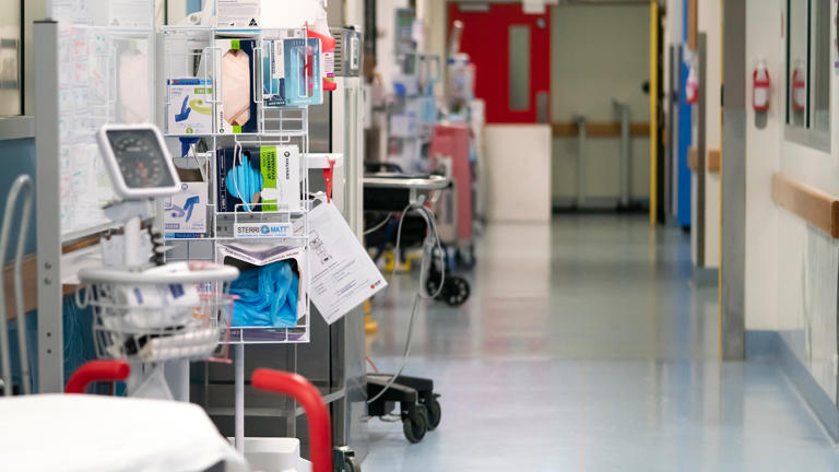 Northern Territory records Australia's first diphtheria death reported ...
