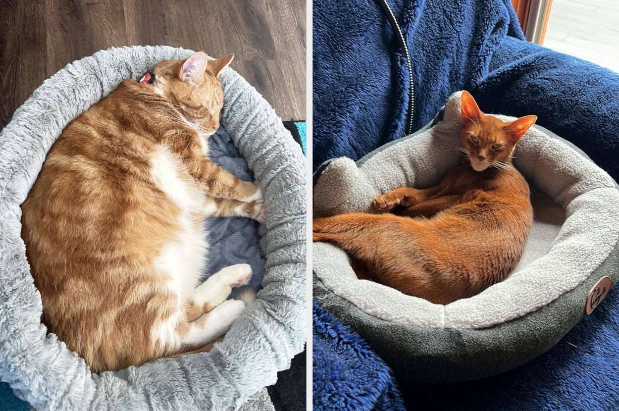 13 heated cat beds we can pretty much guarantee your cats will actually use