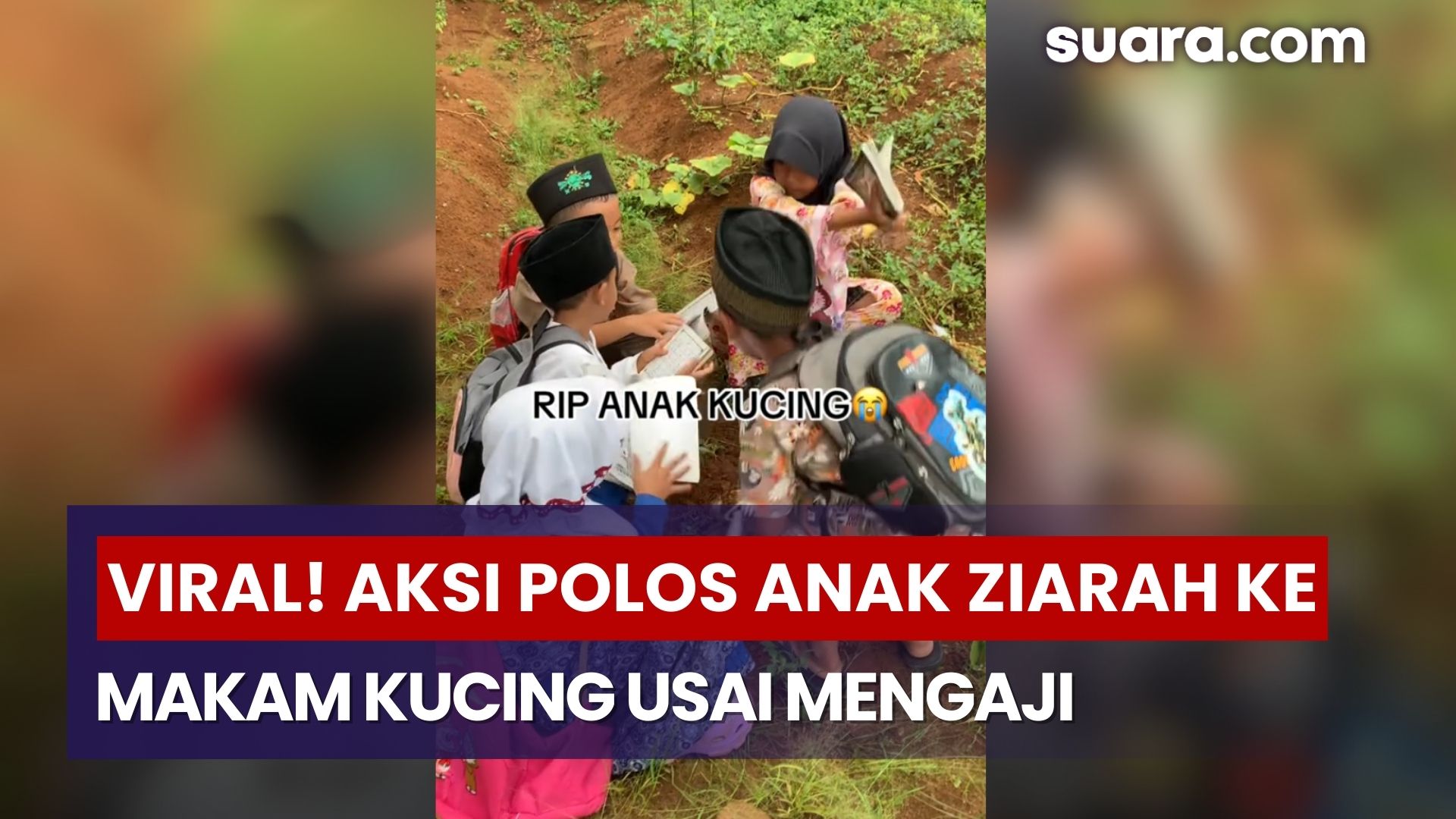 Viral! Aksi polos anak ziarah ke makam kucing usai mengaji