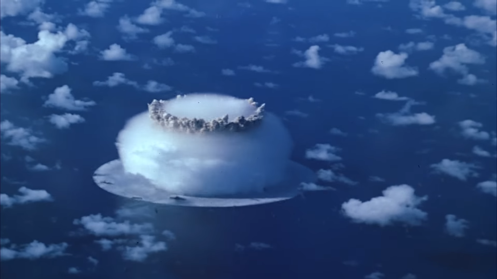 In the coming nuclear catastrophe everything dies, but these animals ...