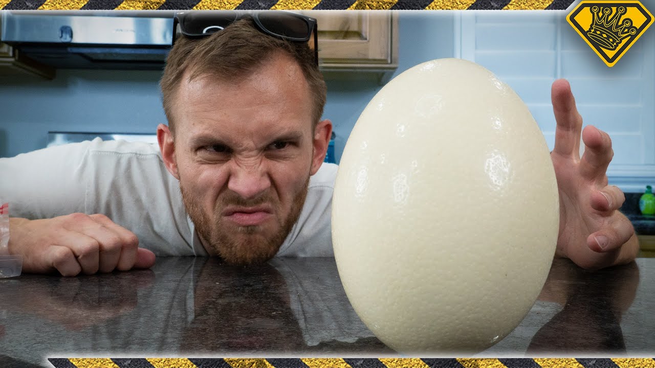 We made an omelet with the world’s largest egg ever
