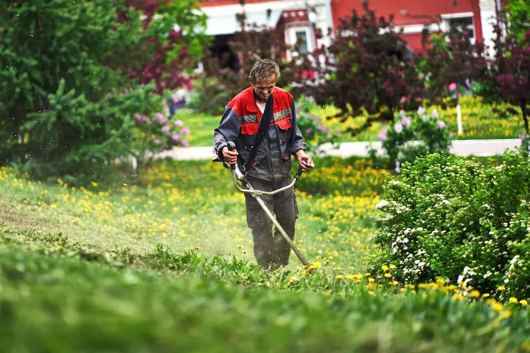 10 things to avoid immediately after cutting the grass