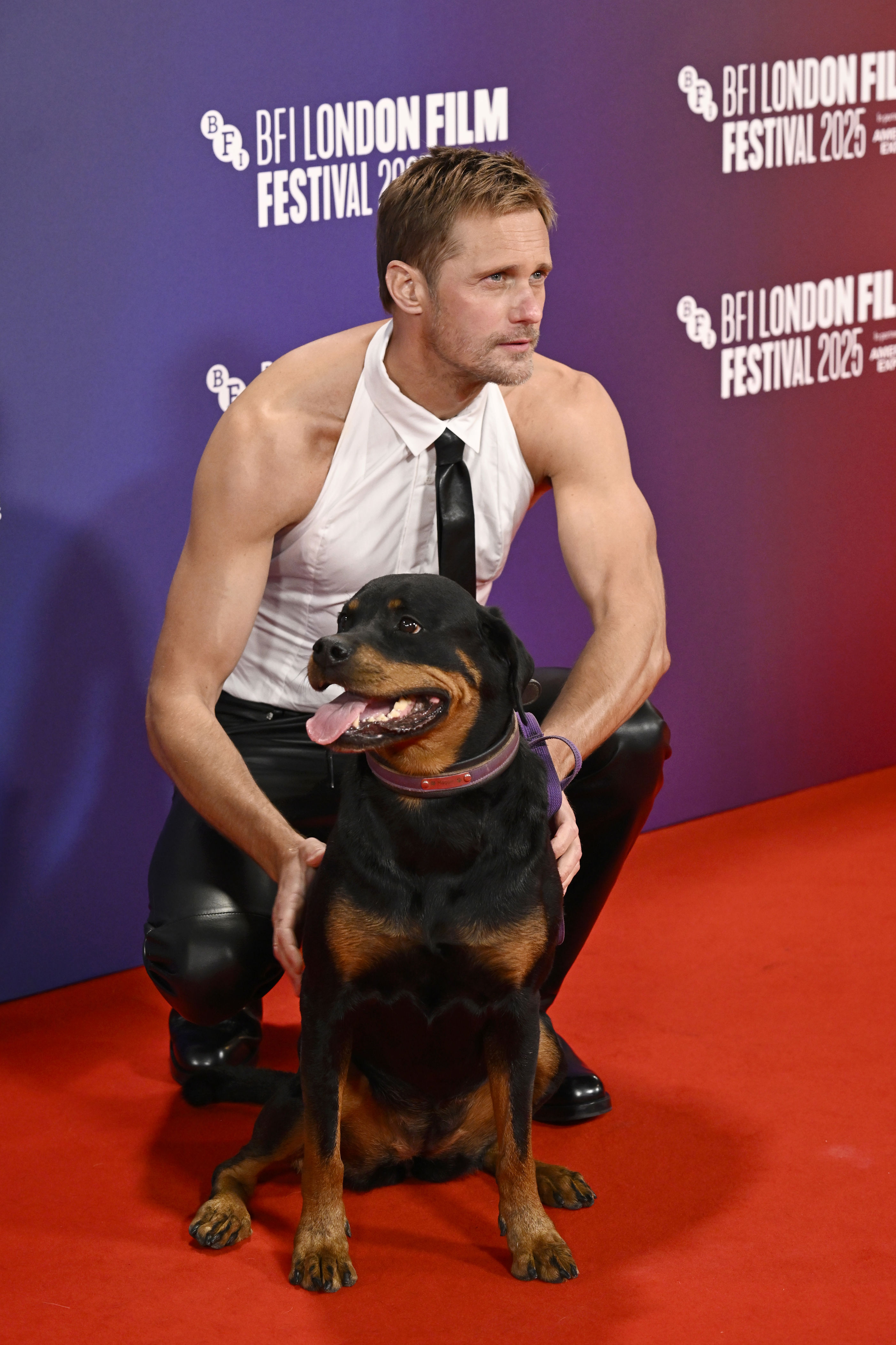 Alexander Skarsgård’s dog in Pillion just won an acting award