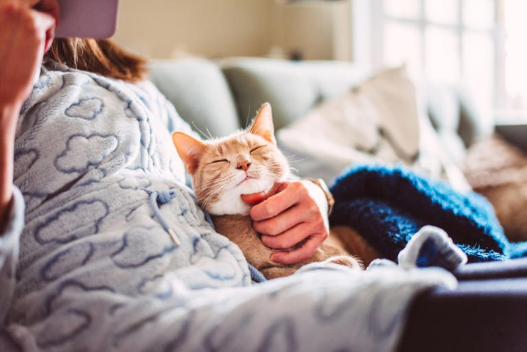 Sweet cat’s heartwarming reaction to mom’s piano playing is pure joy